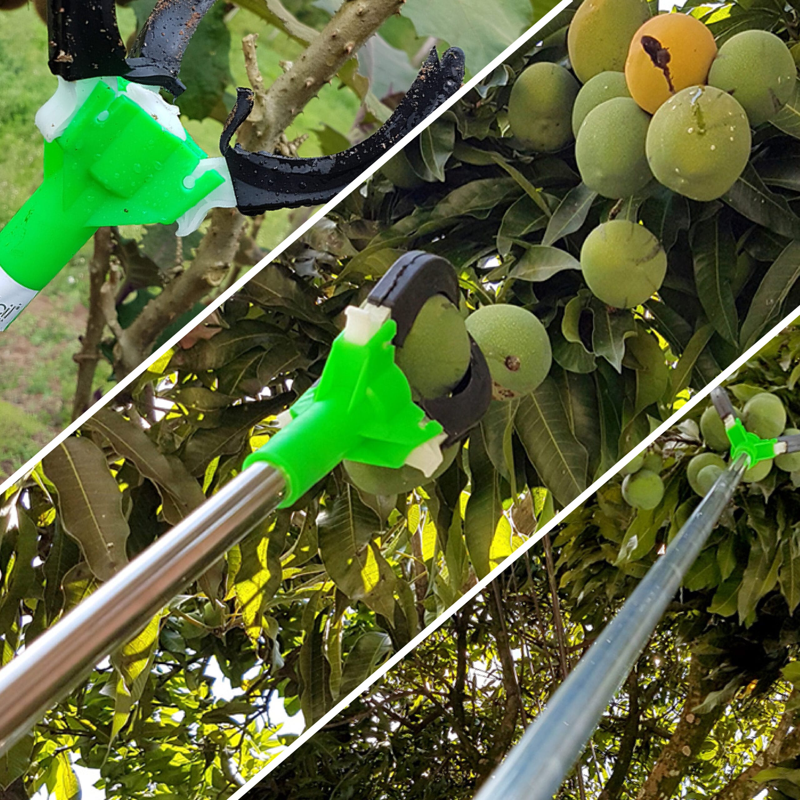 Agarra Frutos 2mts Agrofácil - Agrofácil Perú